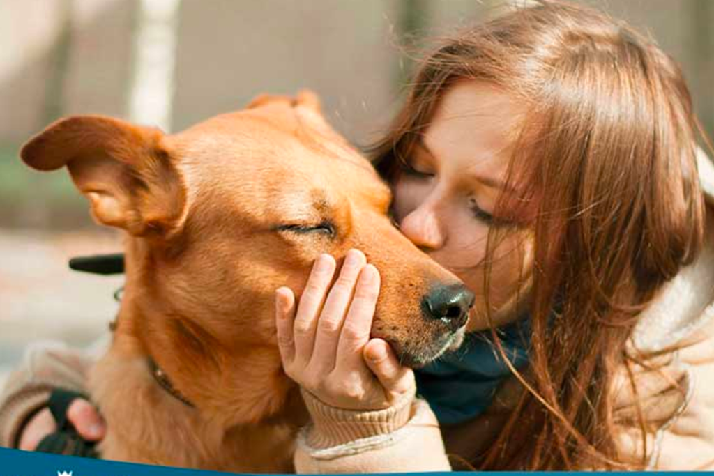 ¡Adopta a un perrito!, se el héroe para estos peluditos - Tuvoz.tv