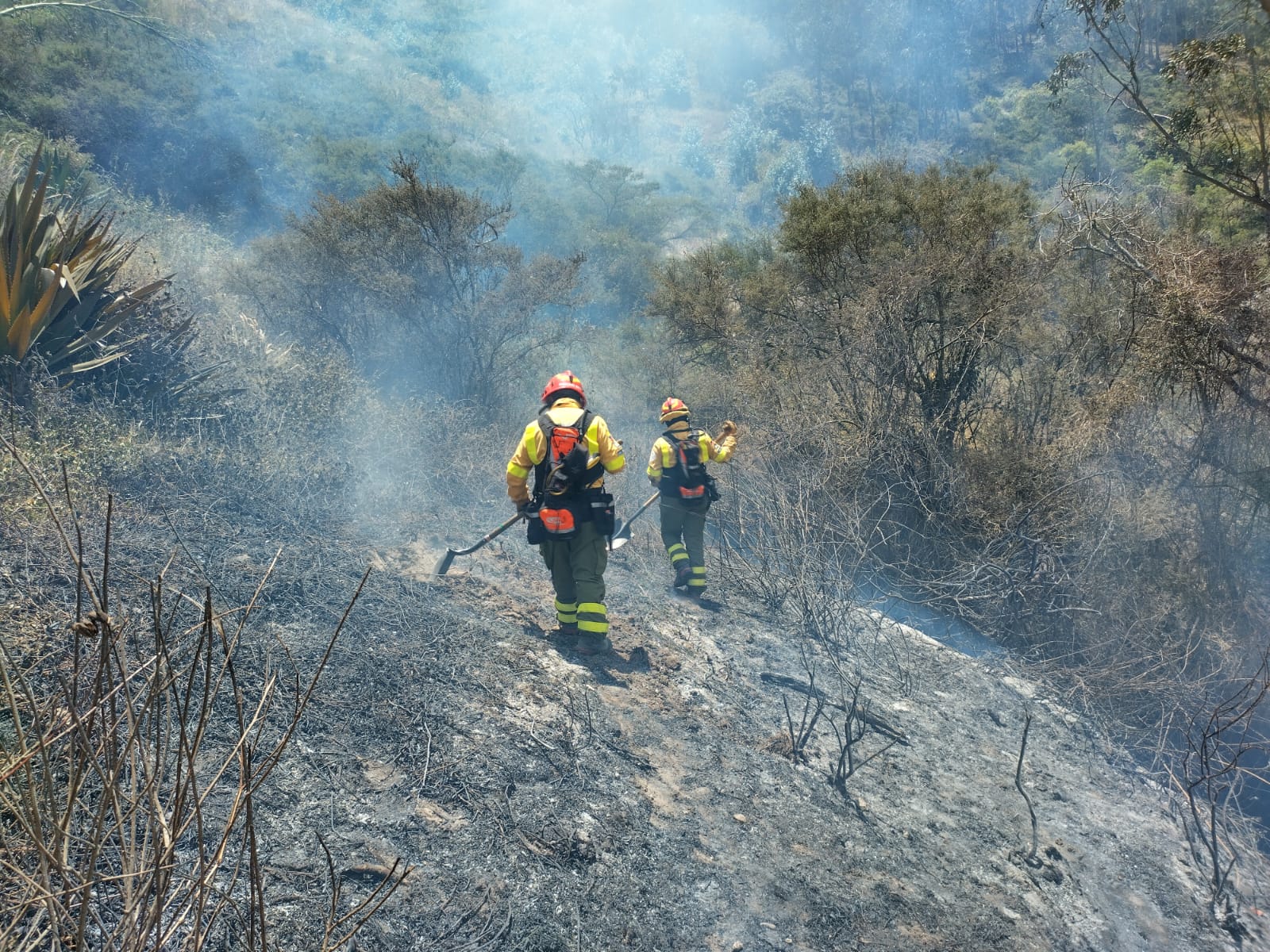 Quito 17 Incendios Forestales Se Han Registrado Entre El 30 Y 31 De
