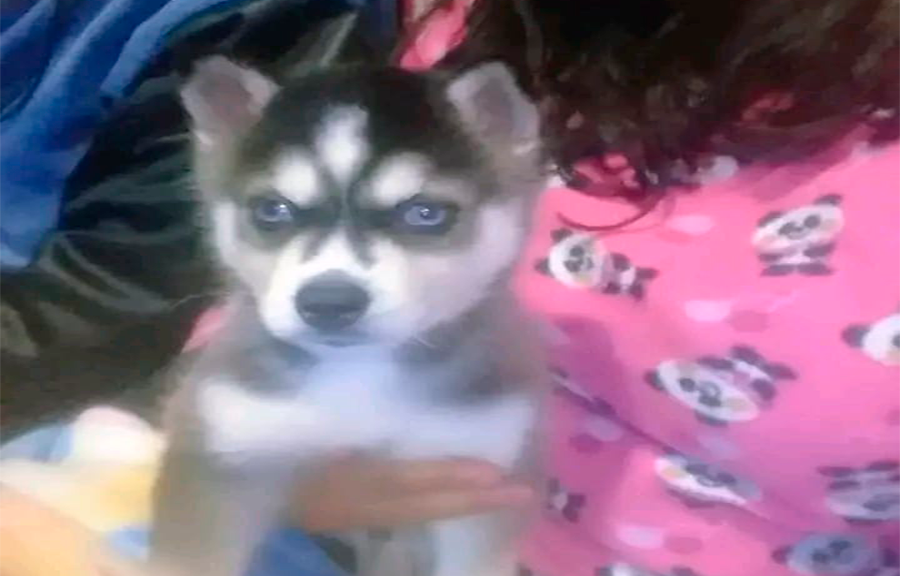 El 29 de agosto se reinstalará la audiencia de juzgamiento del caso ...