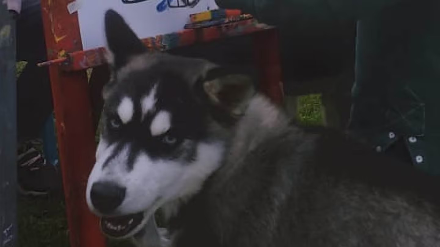 Caso Spayk: se vuelve a posponen la audiencia de casación - Tuvoz.tv