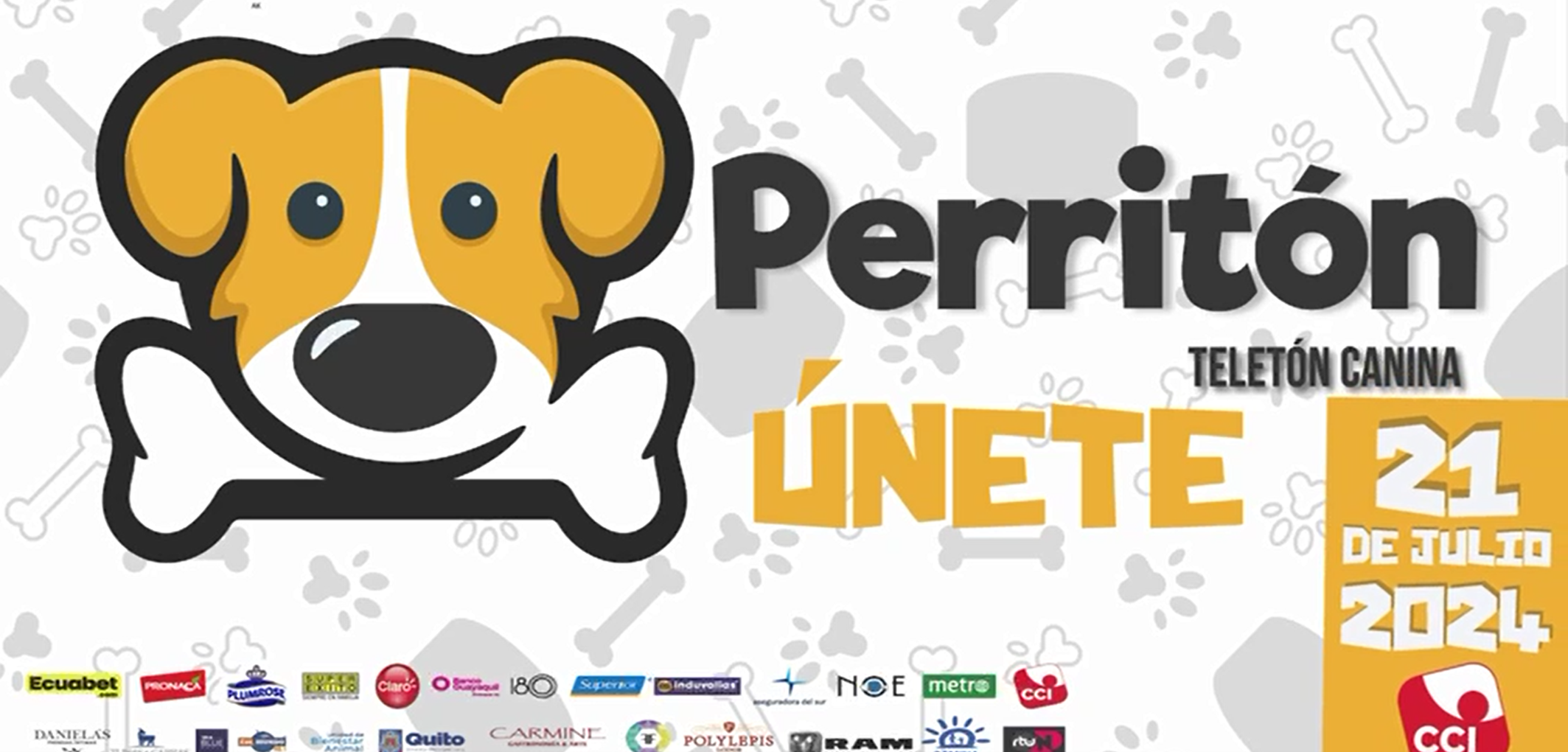 “Perritón”, la primera teletón canina se celebrará en Quito - Tuvoz.tv